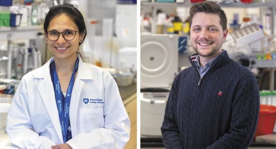 Biomedical Sciences MS | Penn State